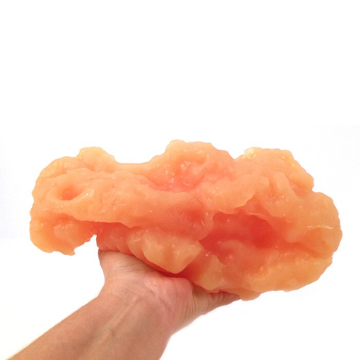 Fat Chunk Model 5 lb | Health Edco | Health Education Models