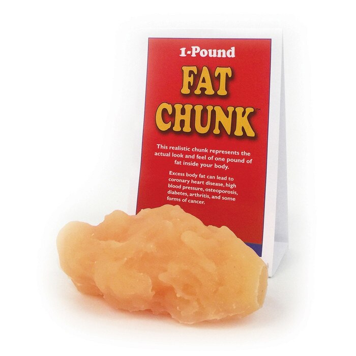 Fat Chunk Model 1 lb | Health Edco | Health Education Models