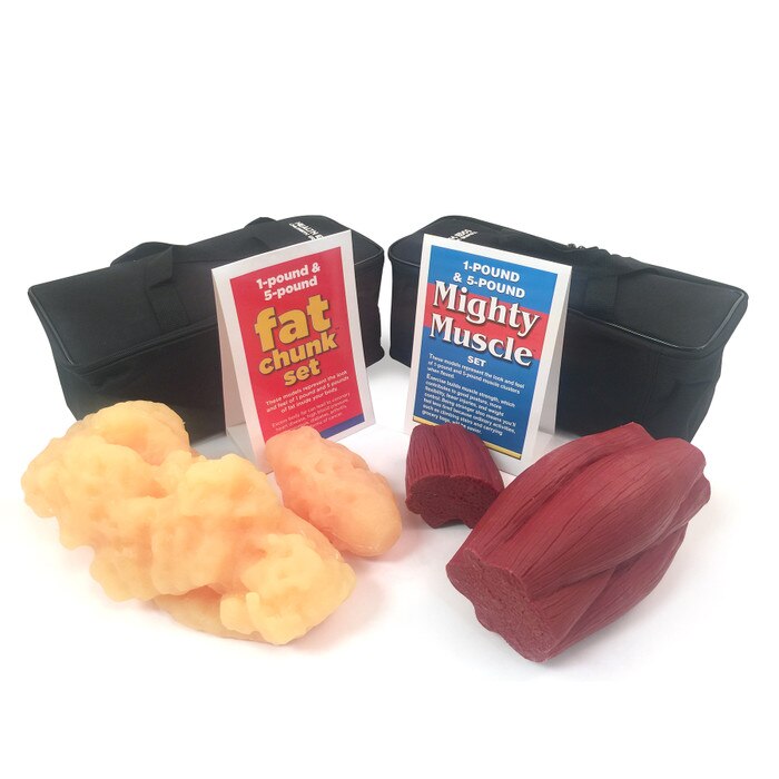 Fat Chunk & Mighty Muscle Set | Health Edco Teaching Models