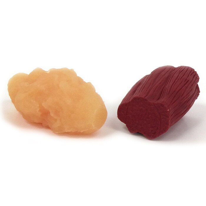 Fat Chunk & Mighty Muscle Set | Health Edco Teaching Models