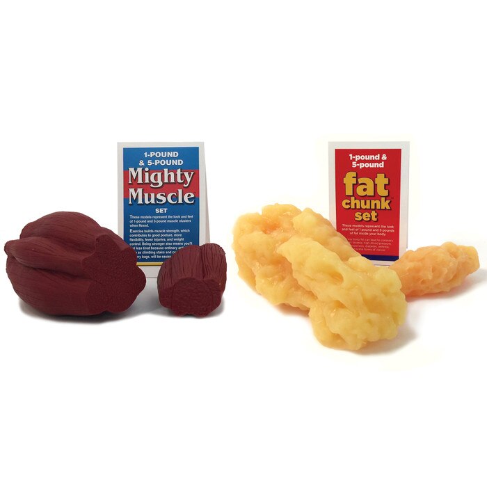 Fat Chunk & Mighty Muscle Set | Health Edco Teaching Models