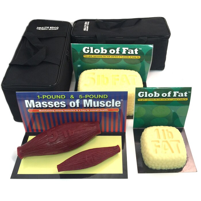 Globs Of Fat & Masses Of Muscle Set 1 lb & 5 lb | Health Edco