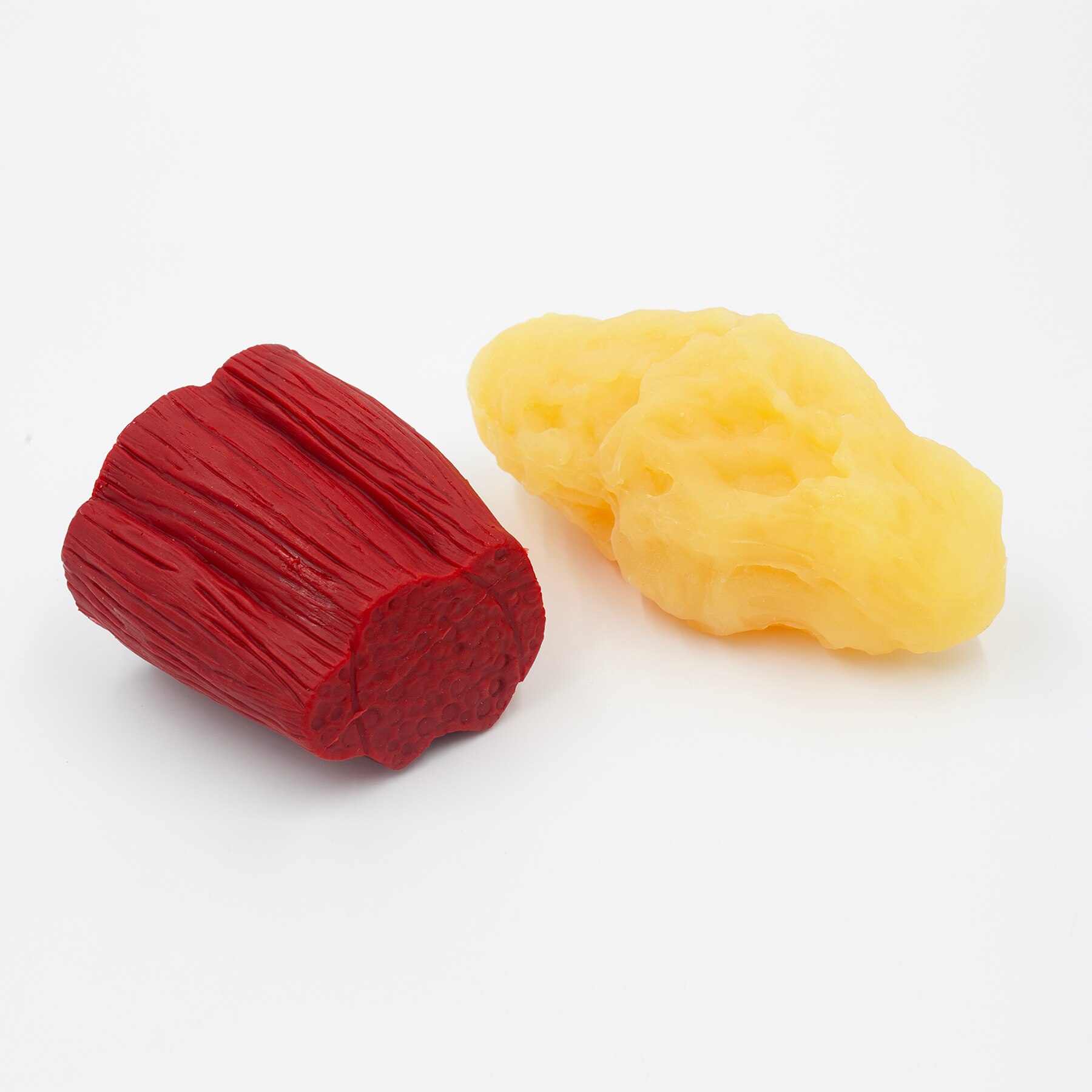 1-Pound Fat Chunk and Mighty Muscle Set | Health Edco