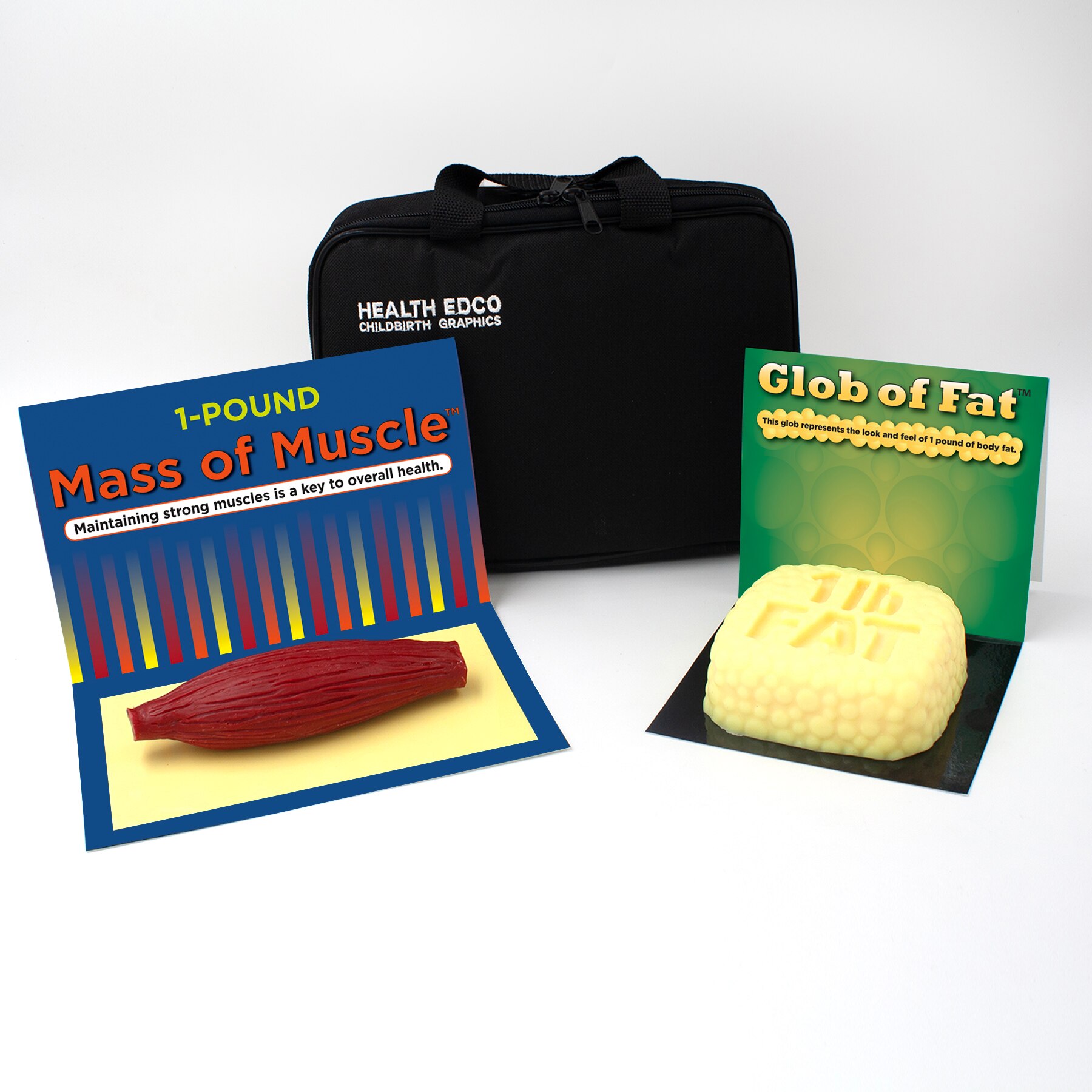 1-Pound Glob of Fat and Mass of Muscle Set | Health Edco