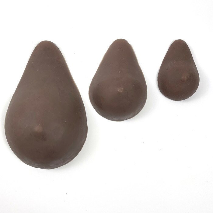 ABC Cup Breast Self-Exam Model Set, Brown | Health Edco