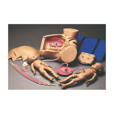 Labor & Birth Education Materials | Childbirth Graphics