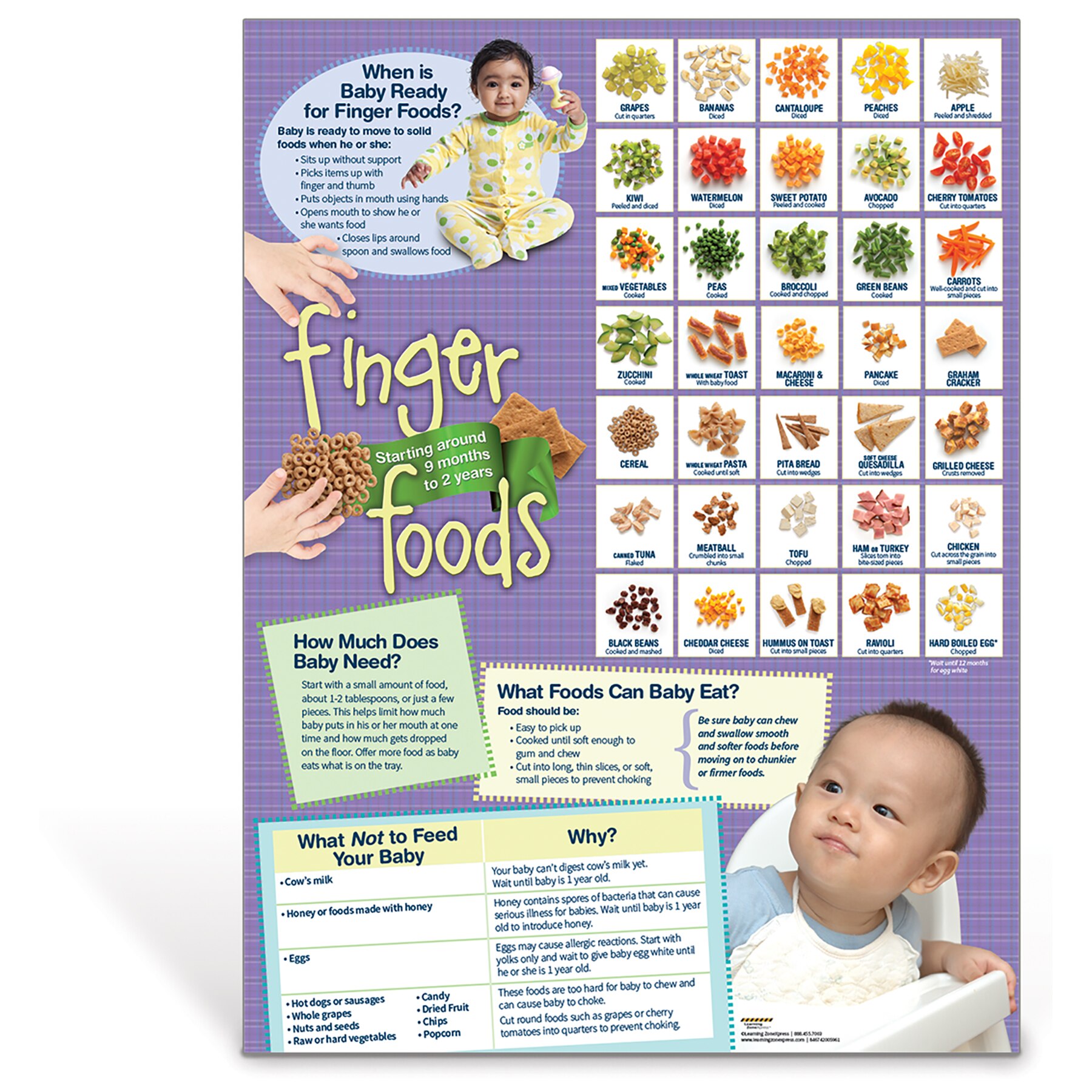 9-Month Baby Finger Foods Poster | Childbirth Graphics