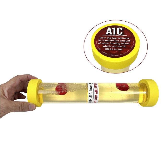 A1C Levels Diabetes Health Education Model| Health Edco