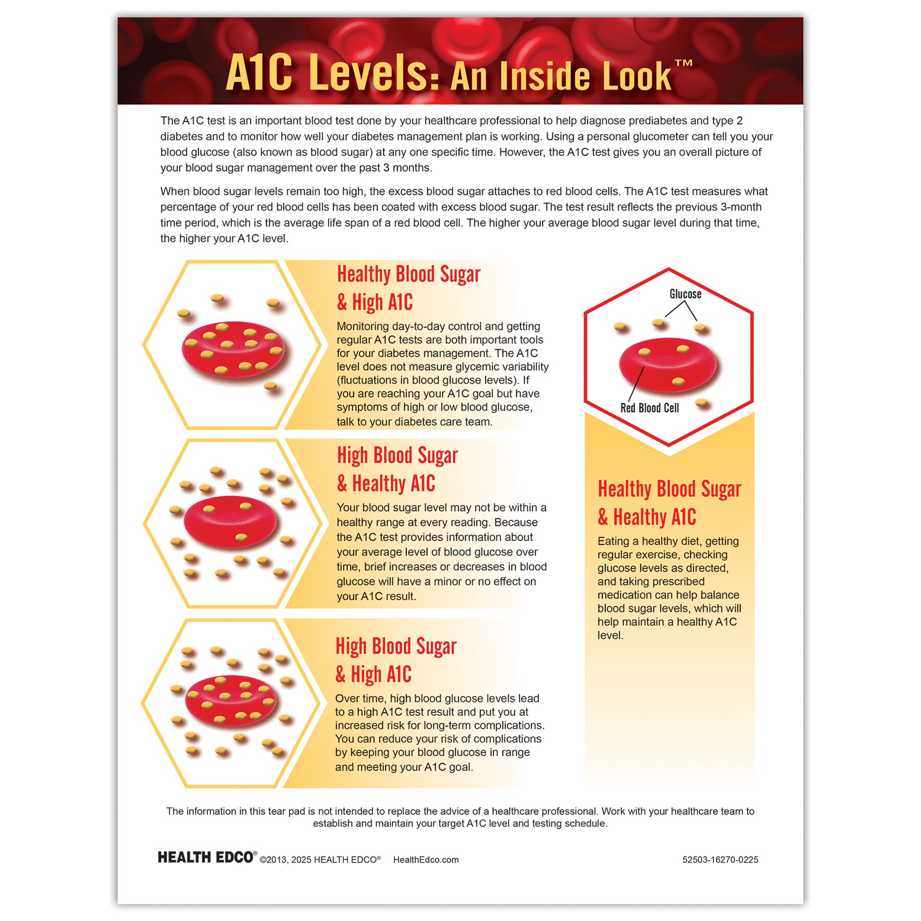 A1C Levels Diabetes Health Education Model| Health Edco