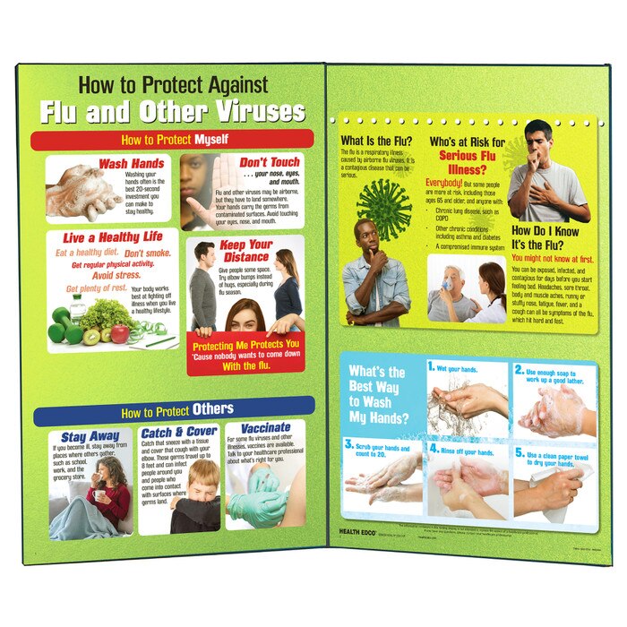 Flu & Other Viruses Protection Folding Display | Health Edco