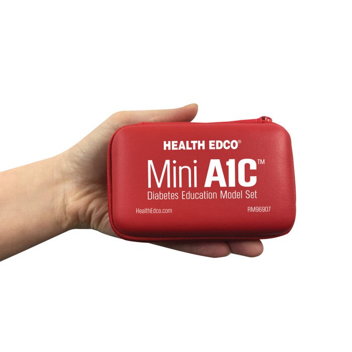 Mini A1C Diabetes Education Model Set | Health Edco