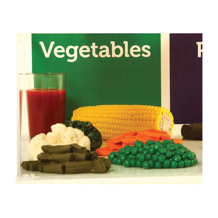 MyPlate Plexiglas Display & Food Model Package | Health Edco