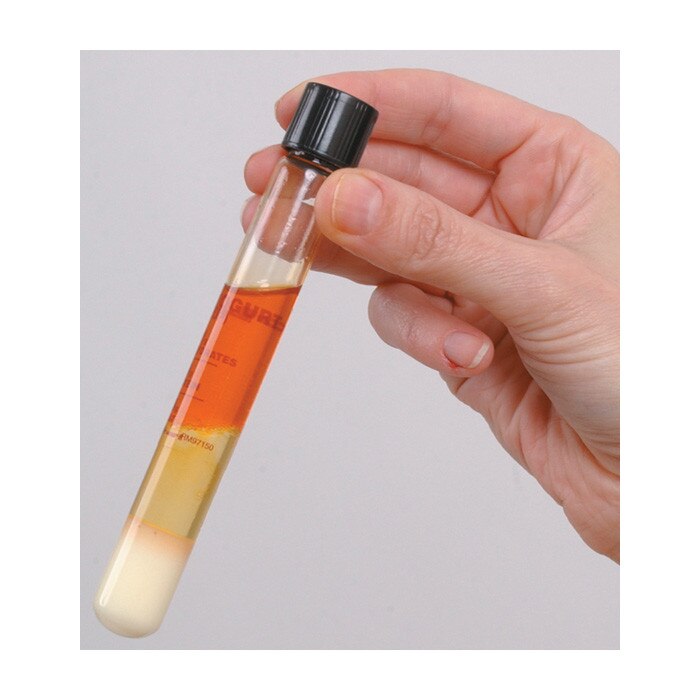 Carb/Protein/Fat Facts Test Tubes | Health Edco