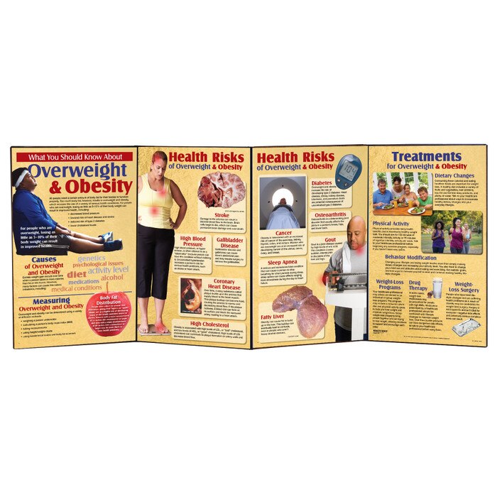 Overweight & Obesity Folding Display | Health Edco