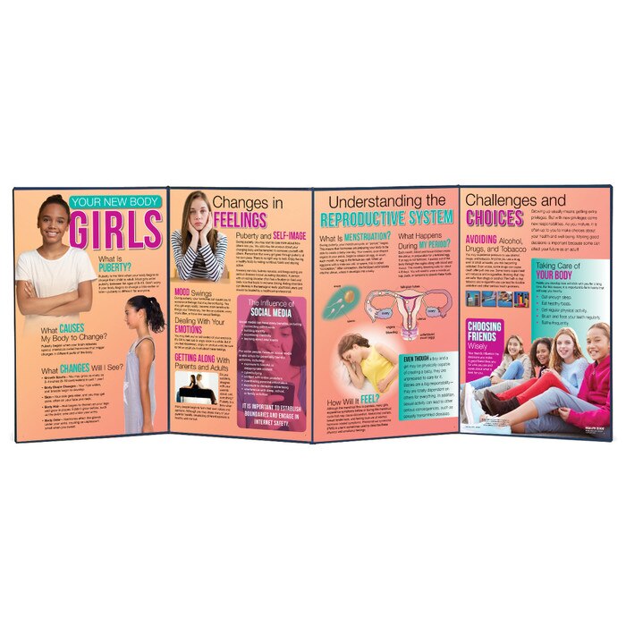 Girls Puberty Education Folding Display | Health Edco