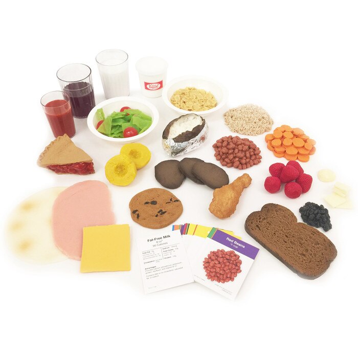 Food Models Basic Package Of 23 Foods | Health Edco