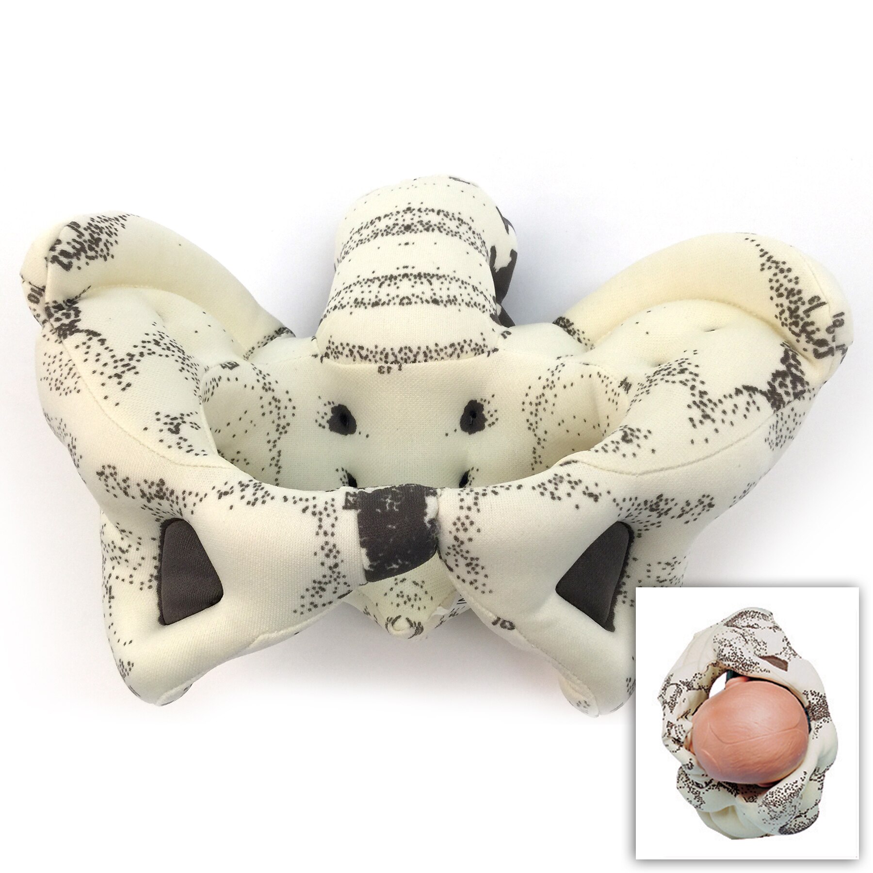 Educational Cloth Female Pelvic Model | Childbirth Graphics
