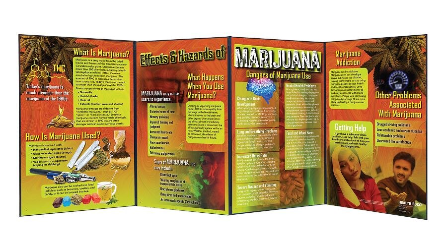 Updated Marijuana Educational Folding Display | Health Edco