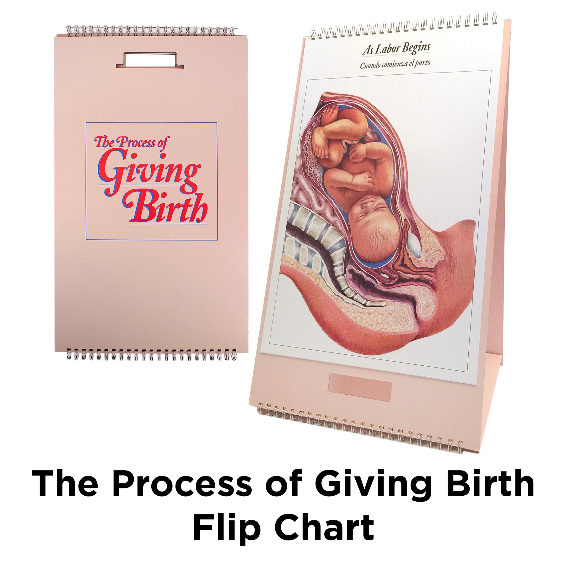 Childbirth Education Eponyms | Childbirth Graphics