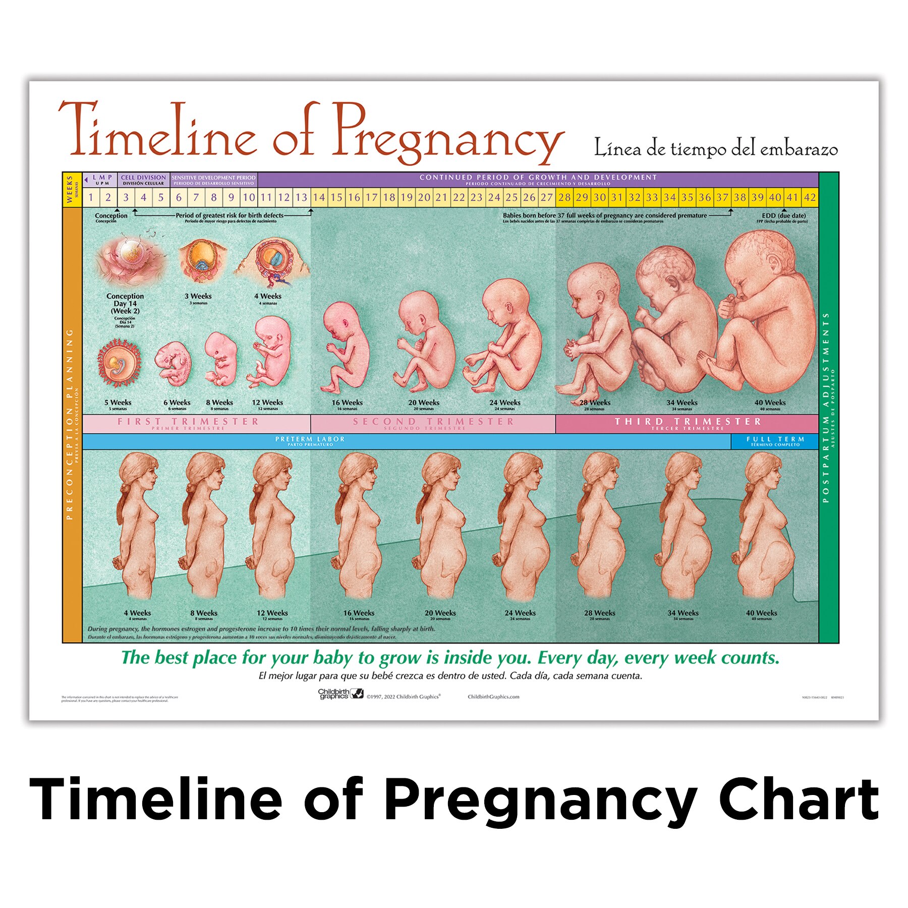 World Prematurity Day & Preterm Birth | Childbirth Graphics